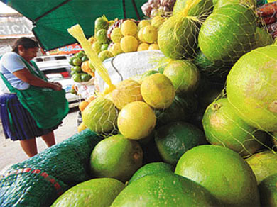 Limón en Bolivia: nueva fuente de desarrollo